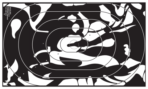 DP2 – Full Size - MCQUEEN TARGETS